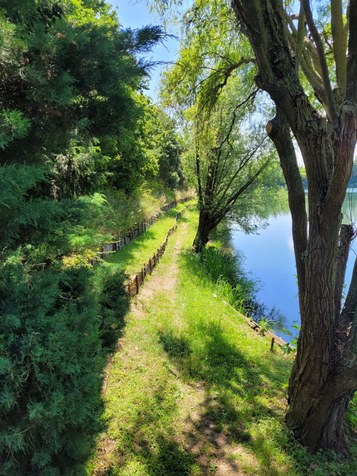 Galerie - ASV 1925 HÖCHST FFM